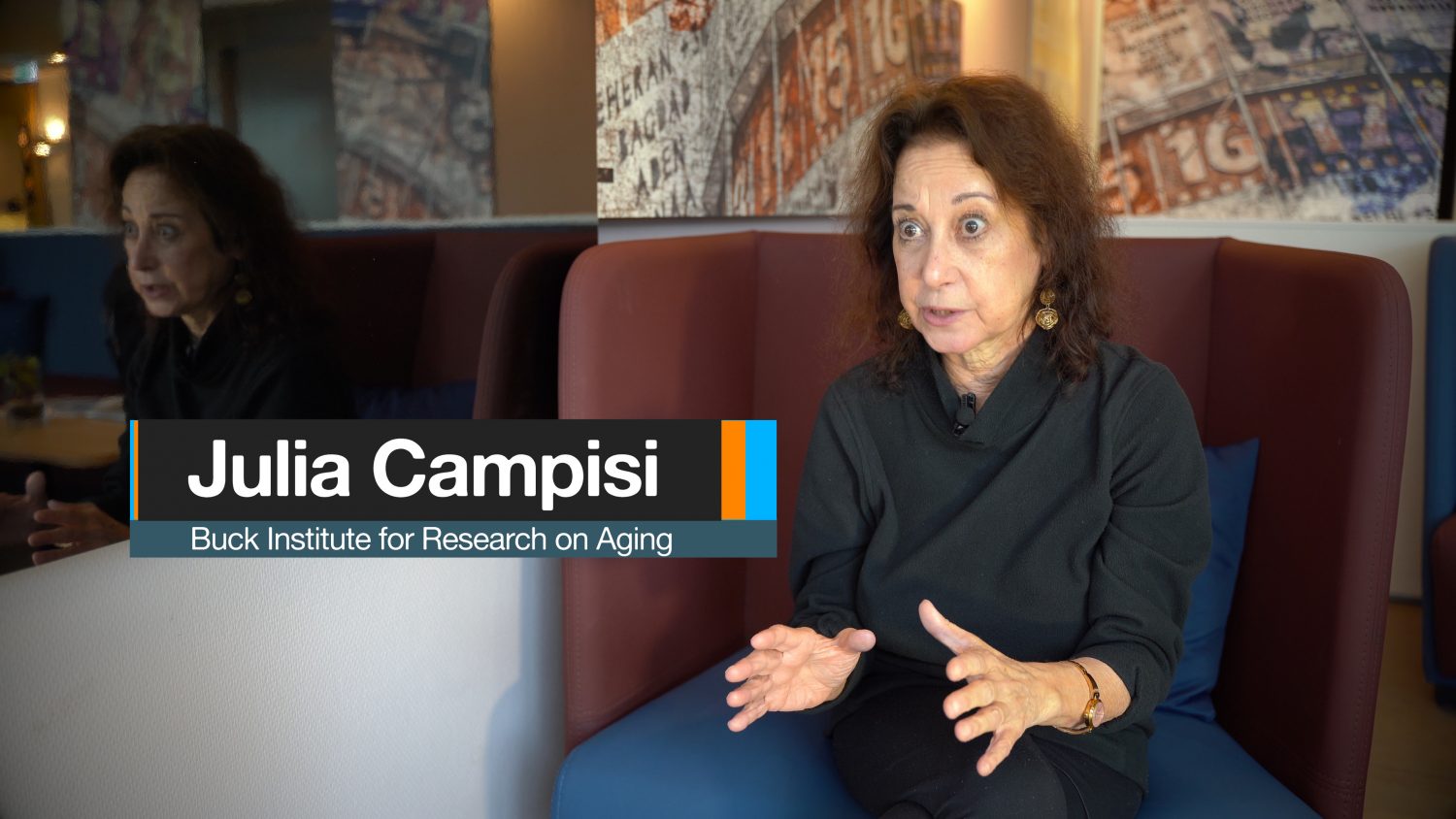 Judith Campisi – Senolytics for Healthy Longevity – Science, Technology ...